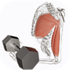 Seebody - See the Unseen